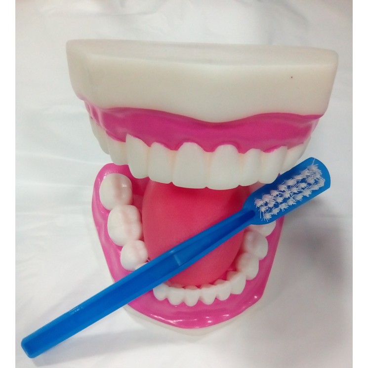 Lengua Atada Gigante Blanca Fandom Desarrollado Por Wikia