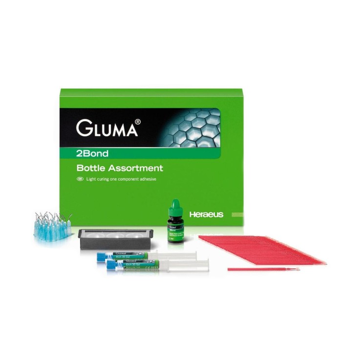 Adhesivo Gluma 2Bond Kulzer